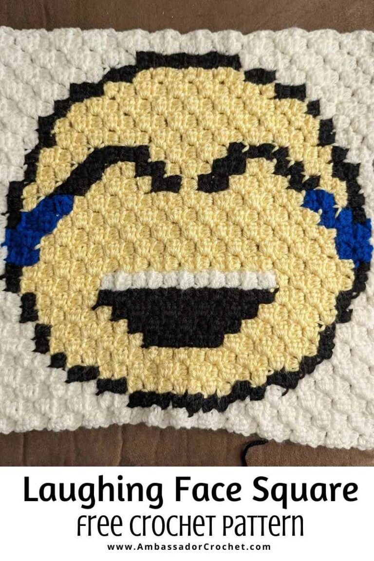Laughing Face Crochet Pattern {Free}