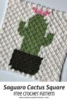 Saguaro Cactus Blanket Square - Free Crochet Pattern